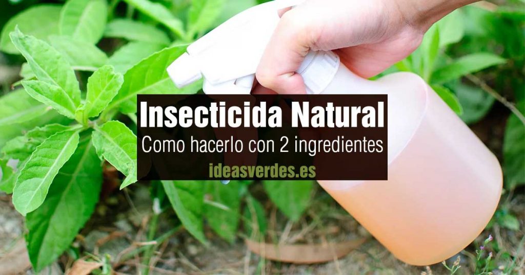DIY Cómo hacer un insecticida natural - Ideas Verdes