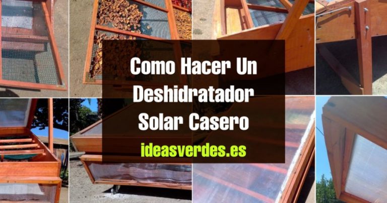 Deshidratador Solar Casero De Madra. Cómo Hacerlo Paso a Paso