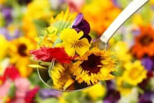 ¿Quieres darle un giro creativo a tu cocina? Usa flores comestibles en ...