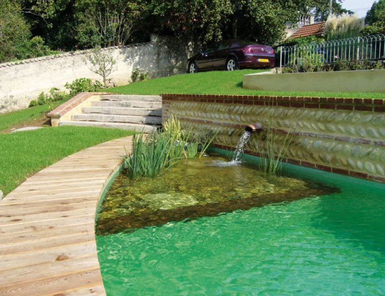 19 ideas de piscinas naturales absolutamente increíbles - Ideas Verdes