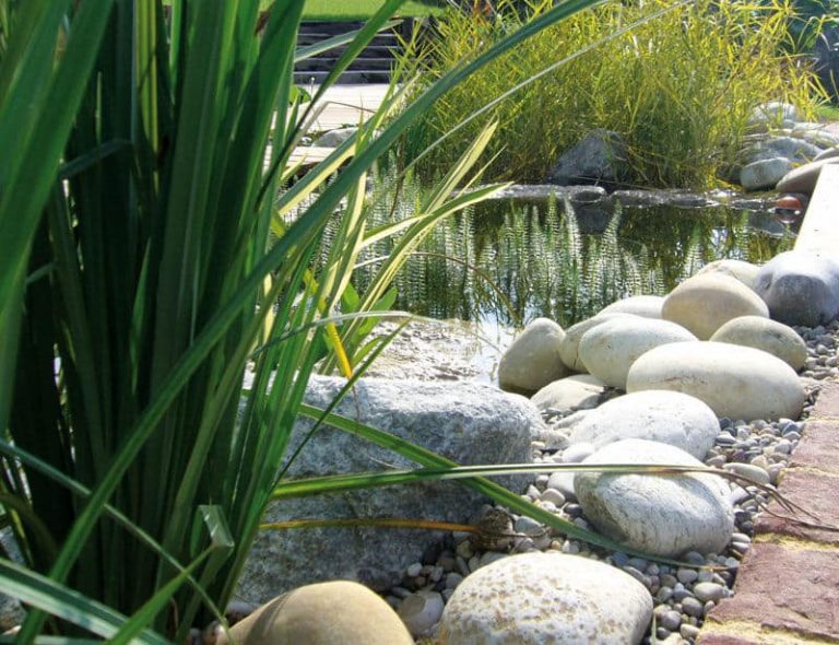 19 ideas de piscinas naturales absolutamente increíbles - Ideas Verdes
