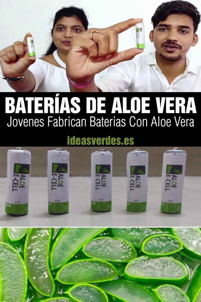 Jóvenes Fabrican Las Primeras Baterías Con Aloe Vera Que No Contaminan ...