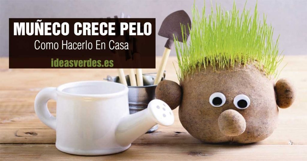 Cómo hacer un muñeco crece pelo de césped casero o Cespino - Ideas Verdes