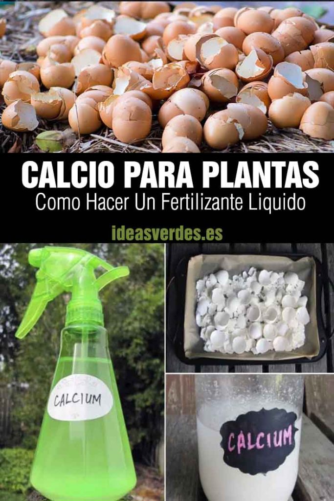 Calcio Para Plantas : Prepara este Fertilizante Liquido Con Cascara de ...
